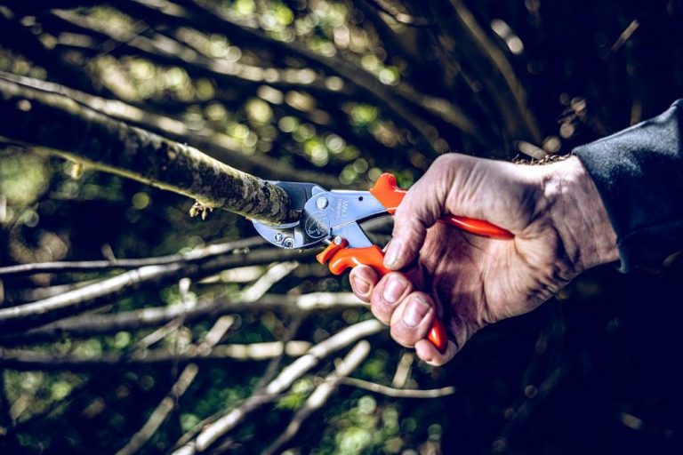 Firma Gebr. Schröder GmbH | Original LÖWE, Autor bei PR-Web